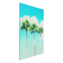 Alu Dibond Outdoor Bild - Palmen vor Himmel Blau - Natur t&uuml;rkis Tropisch wetterfest Himmel Wohnzimmer Schlafzimmer
