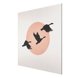 Bilderwelten Alu-Dibond Outdoor Bild V&ouml;gel vor rosa Sonne III