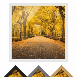 Bild mit Rahmen Herbst im Central Park