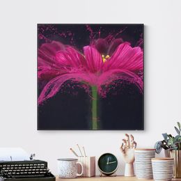 Wechselbild Neonpinke Bl&uuml;te
