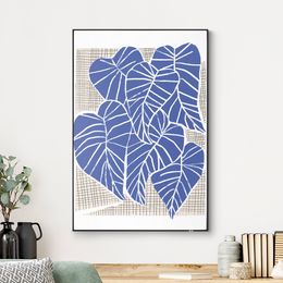 Wechselbild Alocasia Bl&auml;tter