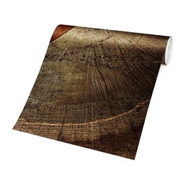 Bilderwelten Tapete - Fototapete Holz Herz - Natural Love - Baumstamm - Wandtapete Bildtapete Schlafzimmer Wohnzimmer - auch selbstklebend