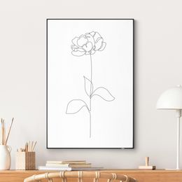 Wechselbild Line Art Blumen - Pfingstrose