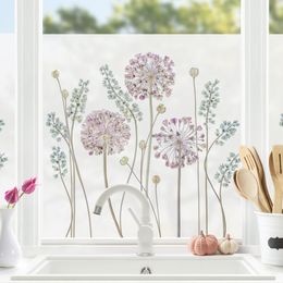 Bilderwelten Fensterfolie Allium Illustration