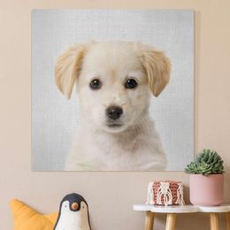 Bilderwelten Leinwandbild Baby Golden Retriever Gizmo