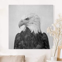 Bilderwelten Leinwandbild Seeadler Sokrates Schwarz Wei&szlig;