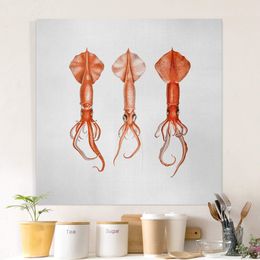 Bilderwelten Leinwandbild Vintage Illustration Rote Tintenfische