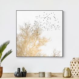 Wechselbild Vogelschwarm vor goldenem Baum