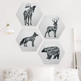 Bilderwelten 4-teiliges Hexagon-Alu-Dibond Bild Tiere mit Weisheit Set I