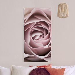 Bilderwelten Leinwandbild Zarte Rose in Altrosa