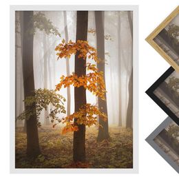 Wald Bild mit Rahmen Novemberwald
