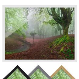 Natur & Landschaft Bild mit Rahmen Der Wald Marvillador
