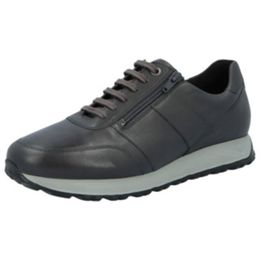 SOLIDUS Sneakers 'Harry' male Grey size 7,5