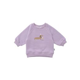 Liliput Sweatshirt 'Dackel' boy Purple size 74/80