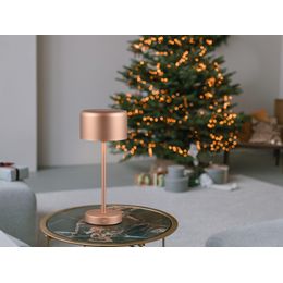 REALITY JEFF Tischleuchte LED Braun, 1-flammig