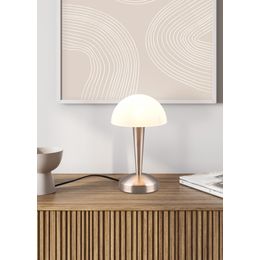 REALITY CANARIA Tischleuchte LED Nickel-Matt, 1-flammig