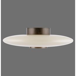 Paul Neuhaus PURE Vitrum Deckenleuchte LED Braun, 2-flammig