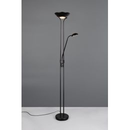 REALITY Spock Stehlampe LED Schwarz, 2-flammig