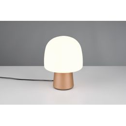 Pilzlampe Trio Steen Tischleuchte Braun, 1-flammig
