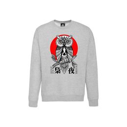 Oldskull Sweatshirt 'ASIAN SECRET OWL SKULL' male Grey size XL