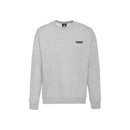 Oldskull Sweatshirt 'Basic Osk' male Grey size XXL
