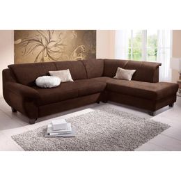 Home Affaire Ecksofa »Yesterday L-Form, B/T: 254/186 cm, belastbar bis 140kg/ Sitz« Microfaser MELROSE , mocca mocca