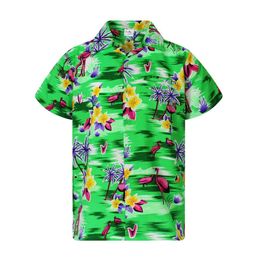 King Kameha Shirt 'Flamingos' male Yellow size S