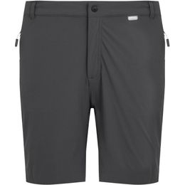 Regatta Mountain II Herren Shorts schwarz 60 - Herrenhosen & -shorts