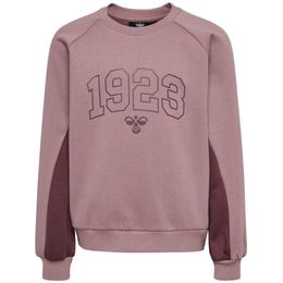 Hummel Sweatshirt Raglan&auml;rmel Hmlkanna E-Sport M&auml;dchen in TWILIGHT MAUVE | Gr.: 122
