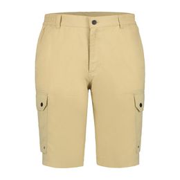 Icepeak Outdoor Pants 'Anzio' male Beige size 52