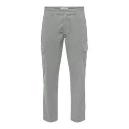 Only & Sons Only & Sons Cargo Pants 'Turin' male Grey size M