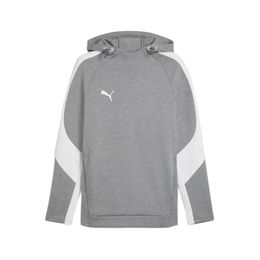 Puma Athletic Sweatshirt 'TeamEVOSTRIPE' male Grey size L