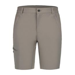 Icepeak Outdoor Pants 'Berwyn' male Grey size 56