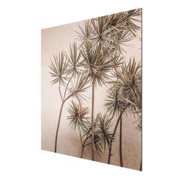 Bilderwelten Alu-Dibond Outdoor Bild Sonnengek&uuml;sste Palmen