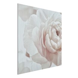 Alu Dibond Outdoor Bild - Wei&szlig;e Bl&uuml;te im Bl&uuml;tenmeer - rosa Motiv wetterfest Rose Wohnzimmer Schlafzimmer
