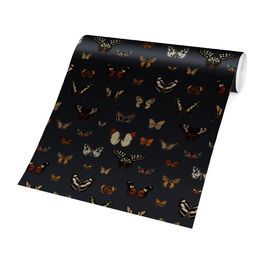 Bilderwelten Fototapete Vintage Schmetterlinge Dunkel Blau K&uuml;chentapete - K&uuml;che romantisch modern Wohnzimmer Schlafzimmer selbstklebend Vlies Muster Retro