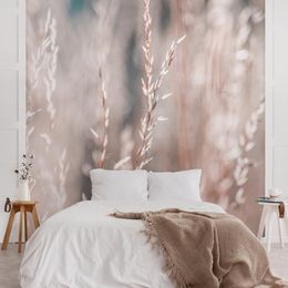 Bilderwelten Fototapete Wilde Wiese Landhaus,Botanik Gr&auml;ser Wohnzimmer,Schlafzimmer Blumentapete inkl. Kleister oder selbstklebend - wei&szlig; beige - Blume Vliestapete