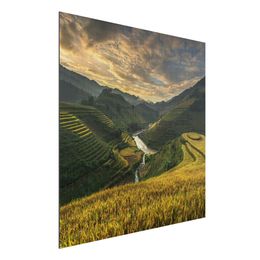 Bilderwelten Alu-Dibond Outdoor Bild Reisplantagen in Vietnam