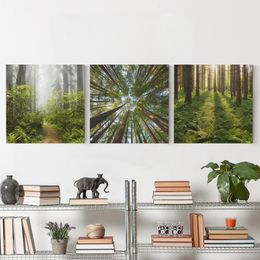 Bilderwelten 3-teiliges Leinwandbild - Quadrat Wald Trio