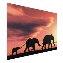 Bilderwelten Alu-Dibond Outdoor Bild Savannah Elefant Family