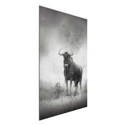 Bilderwelten Alu Dibond Outdoor Bild Tiere schwarz weiss modern wetterfest - Staring Wildebeest - Deko Wohnzimmer Schlafzimmer