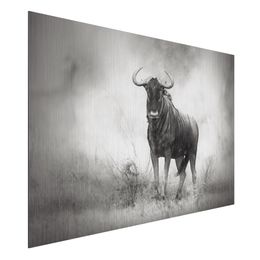 Bilderwelten Alu-Dibond Outdoor Bild Staring Wildebeest