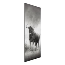 Bilderwelten Alu Dibond Outdoor Bild Tiere schwarz weiss modern wetterfest - Staring Wildebeest - Deko Wohnzimmer Schlafzimmer
