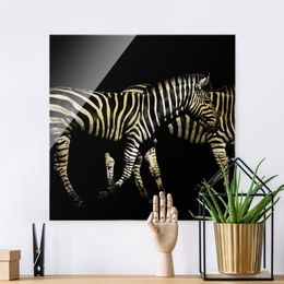 Bilderwelten Glasbild Tiere Motiv schwarz weiss Glas Wandbild - Zebra vor Schwarz - Zebra Wohnzimmer Schlafzimmer