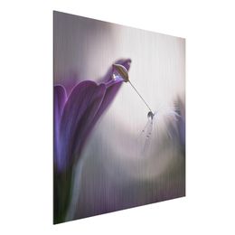 Alu-Dibond Blumen Purple Rain