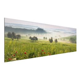 Bilderwelten Alu Dibond Outdoor Bild Blumen gr&uuml;n Motiv wetterfest - Toskana Fr&uuml;hling - Landschaft Wohnzimmer Schlafzimmer