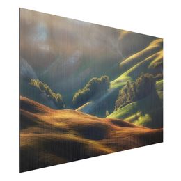 Bilderwelten Alu Dibond Outdoor Bild Wald gr&uuml;n Motiv wetterfest - Toskana am Morgen - B&auml;ume Wohnzimmer Schlafzimmer