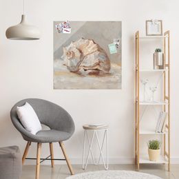 Bilderwelten Glasbild Tiere modern beige Glas Wandbild - Muschel-Studie II - Deko Wohnzimmer Schlafzimmer