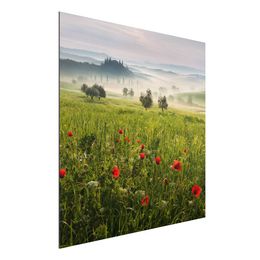 Bilderwelten Alu-Dibond Outdoor Bild Toskana Fr&uuml;hling