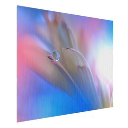 Bilderwelten Alu Dibond Outdoor Bild Blumen blau Motiv wetterfest - Touch Me Softly - Deko Wohnzimmer Schlafzimmer